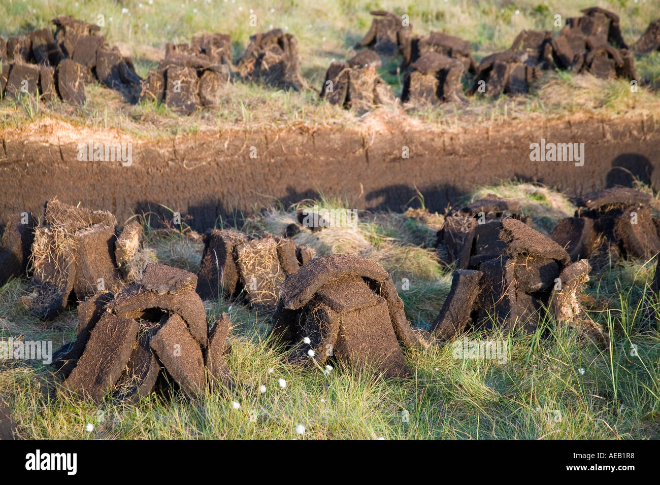 Peat heaps hi-res stock photography and images - Alamy