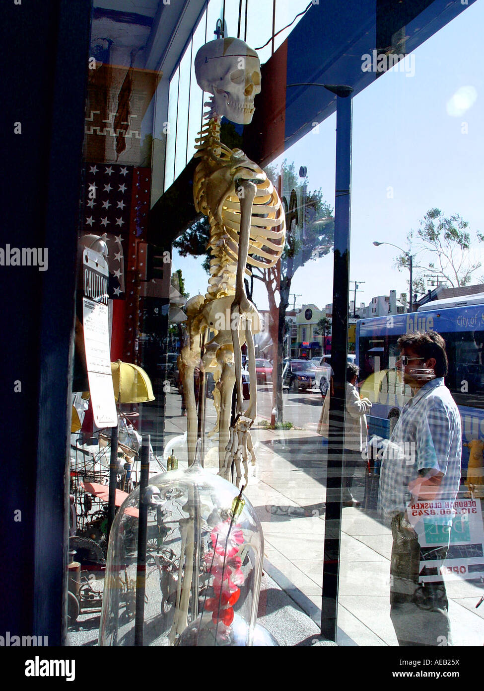 Skeleton mortality hi-res stock photography and images - Alamy