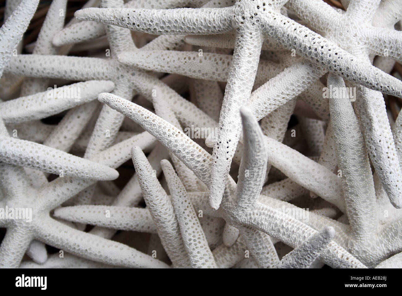 Star fish shape hi-res stock photography and images - Alamy