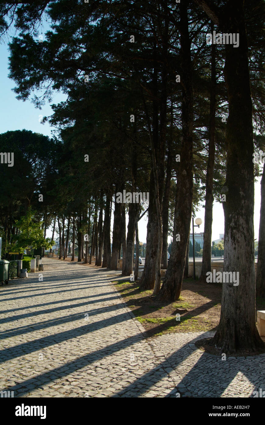 Trees close to the Church of Our Lady of Fátima, Portugal Stock Photo ...