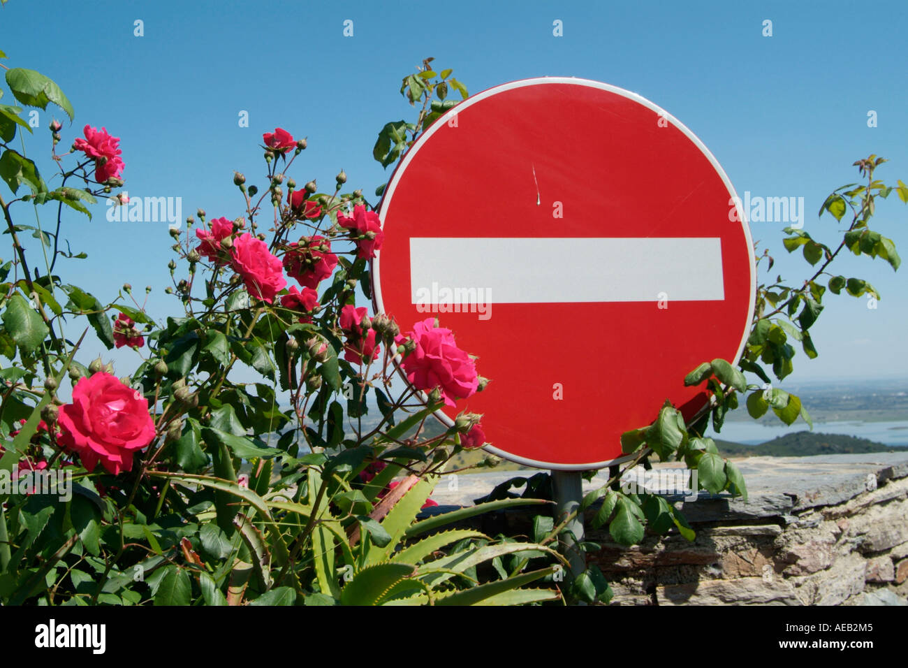 no entry sign surrounded by flowers Stock Photo - Alamy