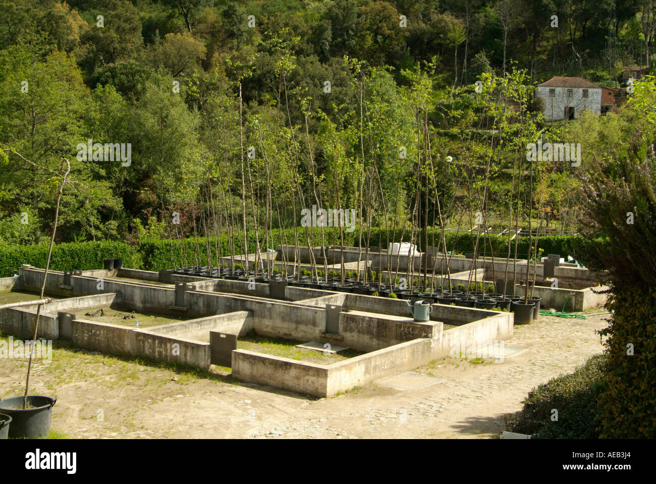 Sludge drying beds in a wastewater treatment works Stock Photo - Alamy