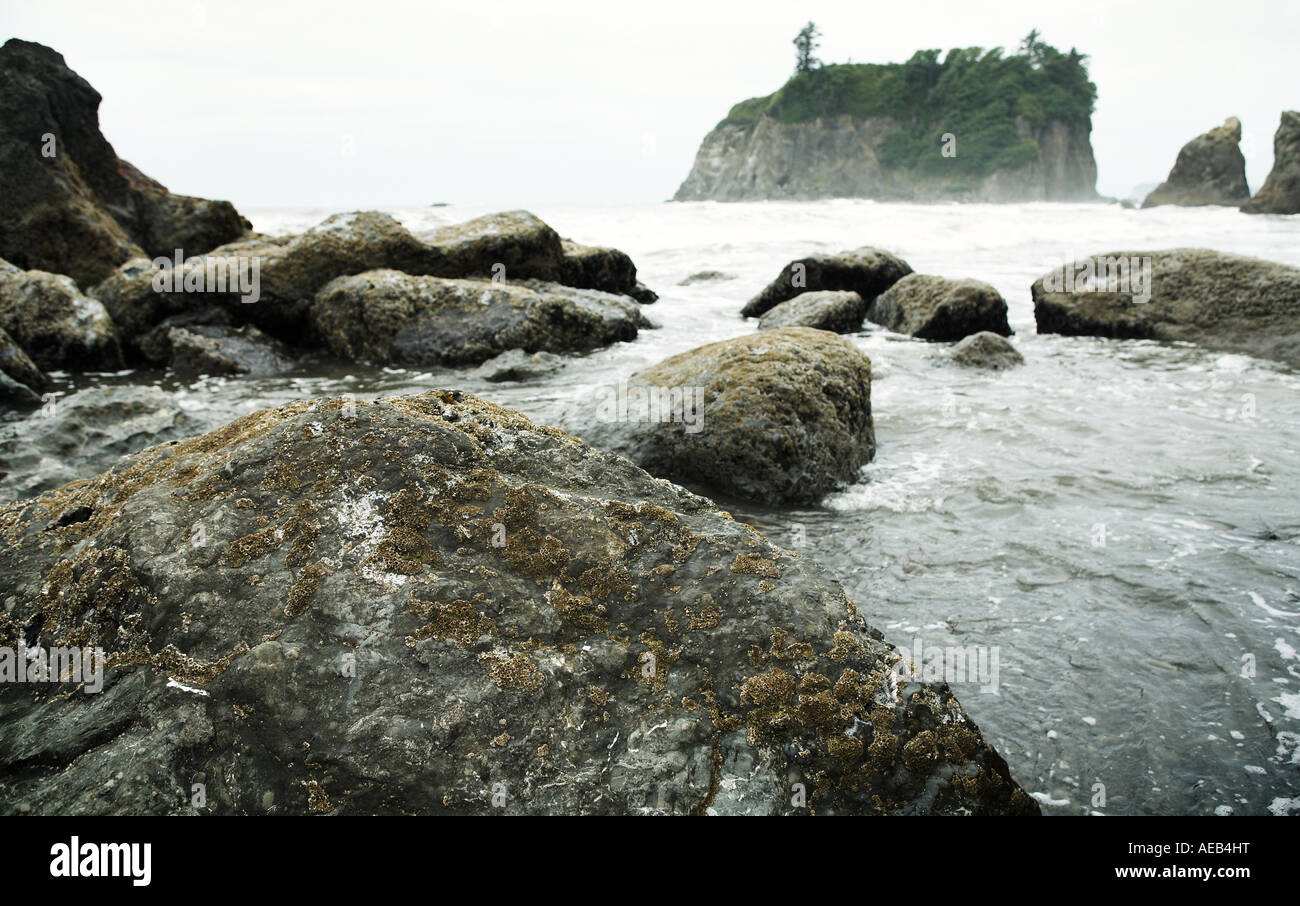Rocks with Sea Stack at Ruby Beach Olympic National Park, Olympic ...