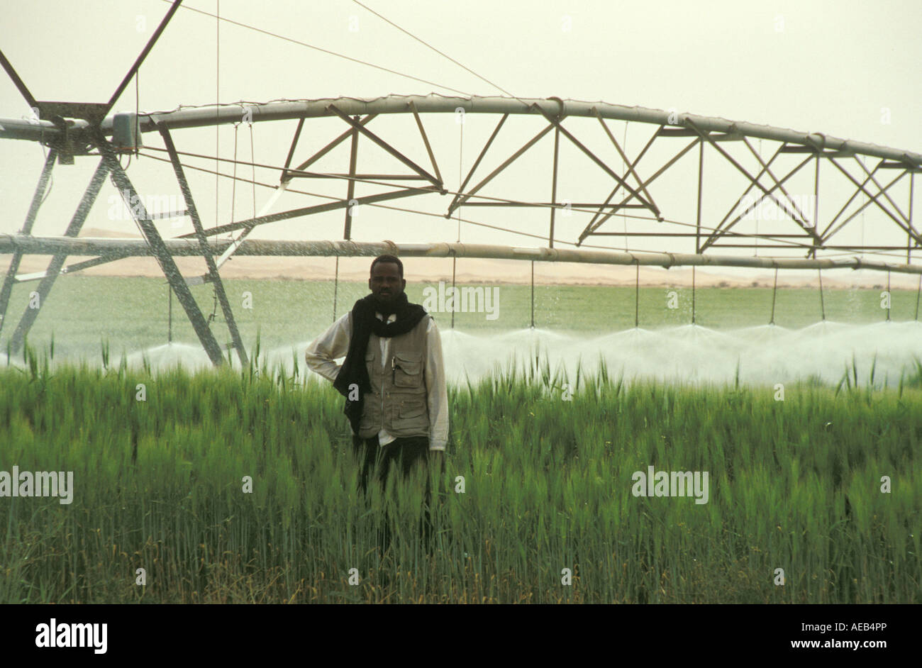 Desert irrigation libya hi-res stock photography and images - Alamy