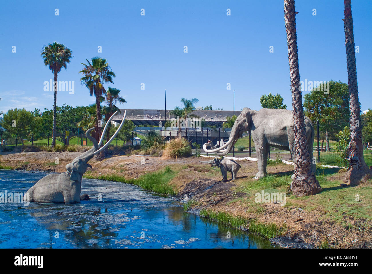 Scene of animal trapped in tar at Rancho La Brea Tar Pits in Los ...