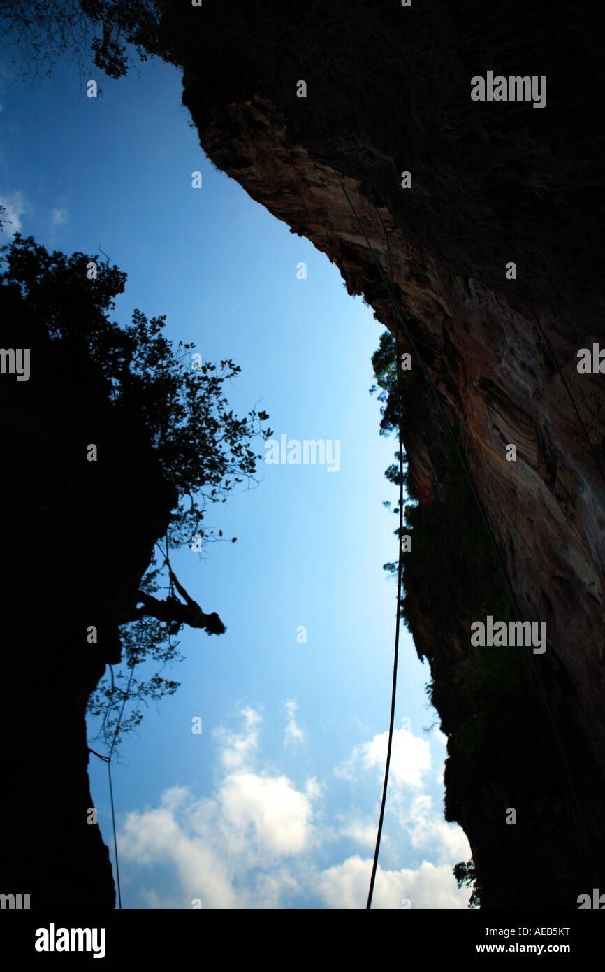 Abseiling on the cliffs at Railay, Thailand Stock Photo - Alamy