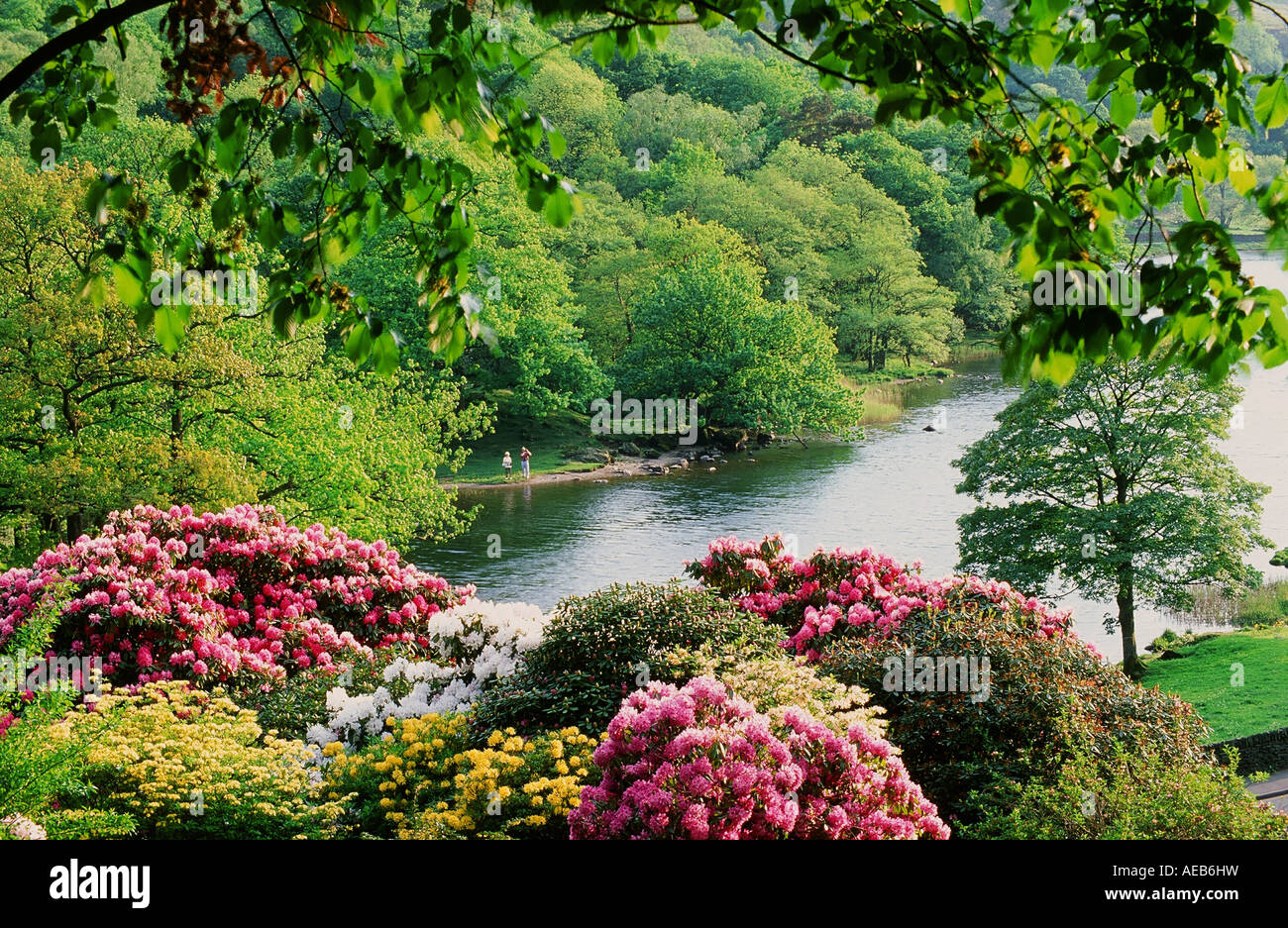 Rydal Water Lake district National Park, UK Stock Photo - Alamy