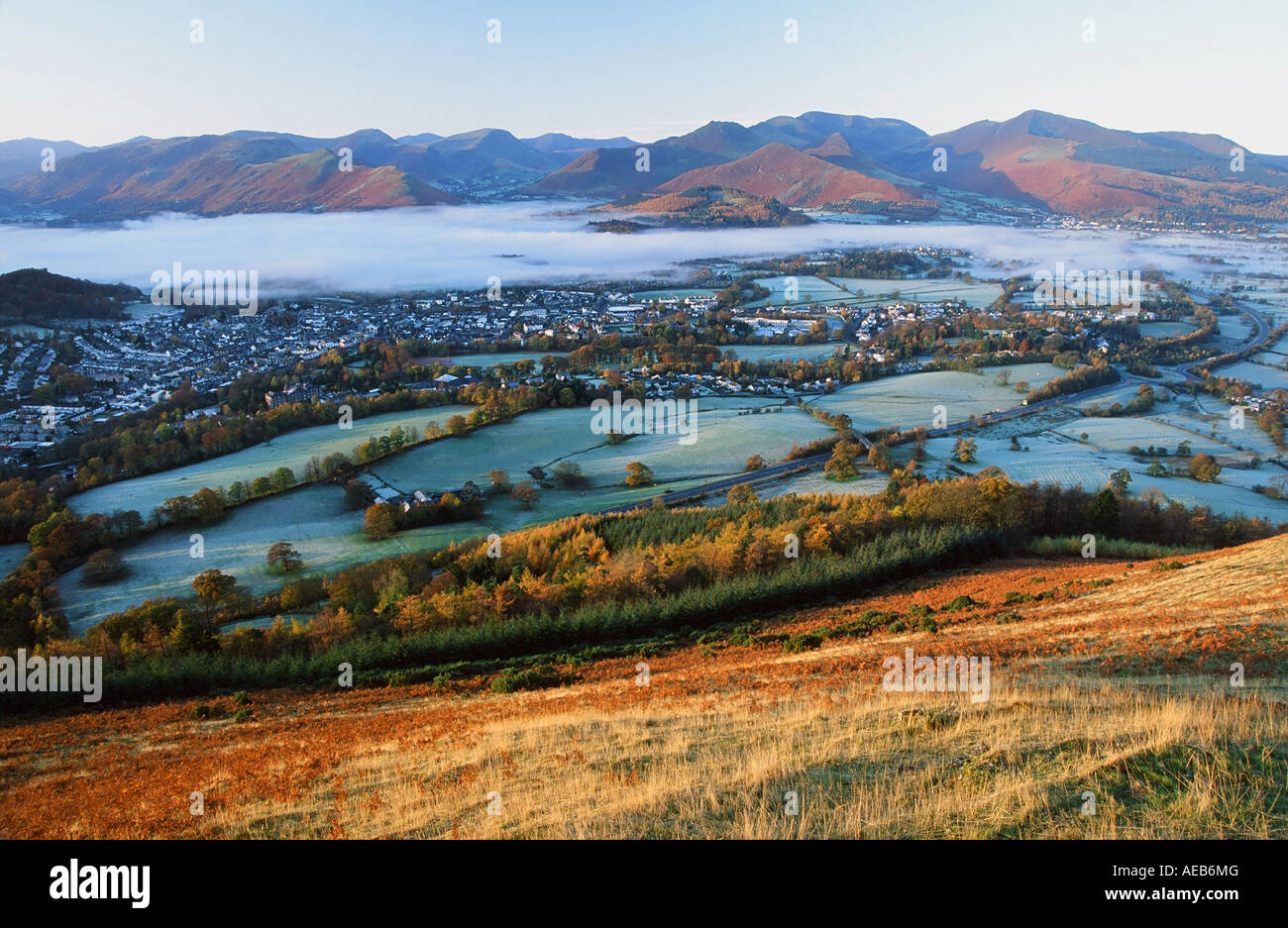 Grizedale autumn lake district hi-res stock photography and images - Alamy