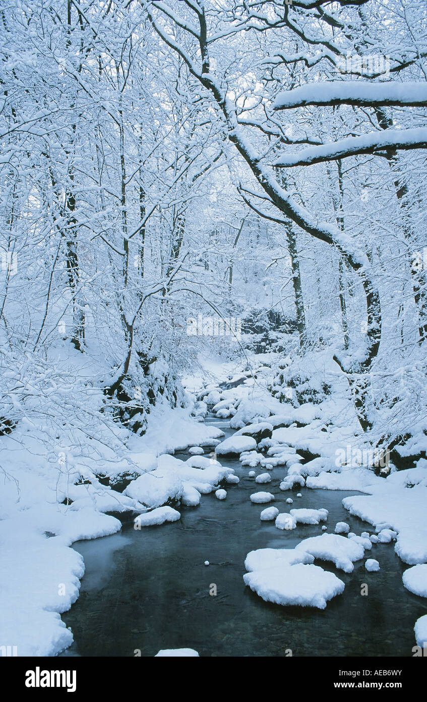 Winter snows in Stock Ghyll, Ambleside, Lake District, UK Stock Photo ...
