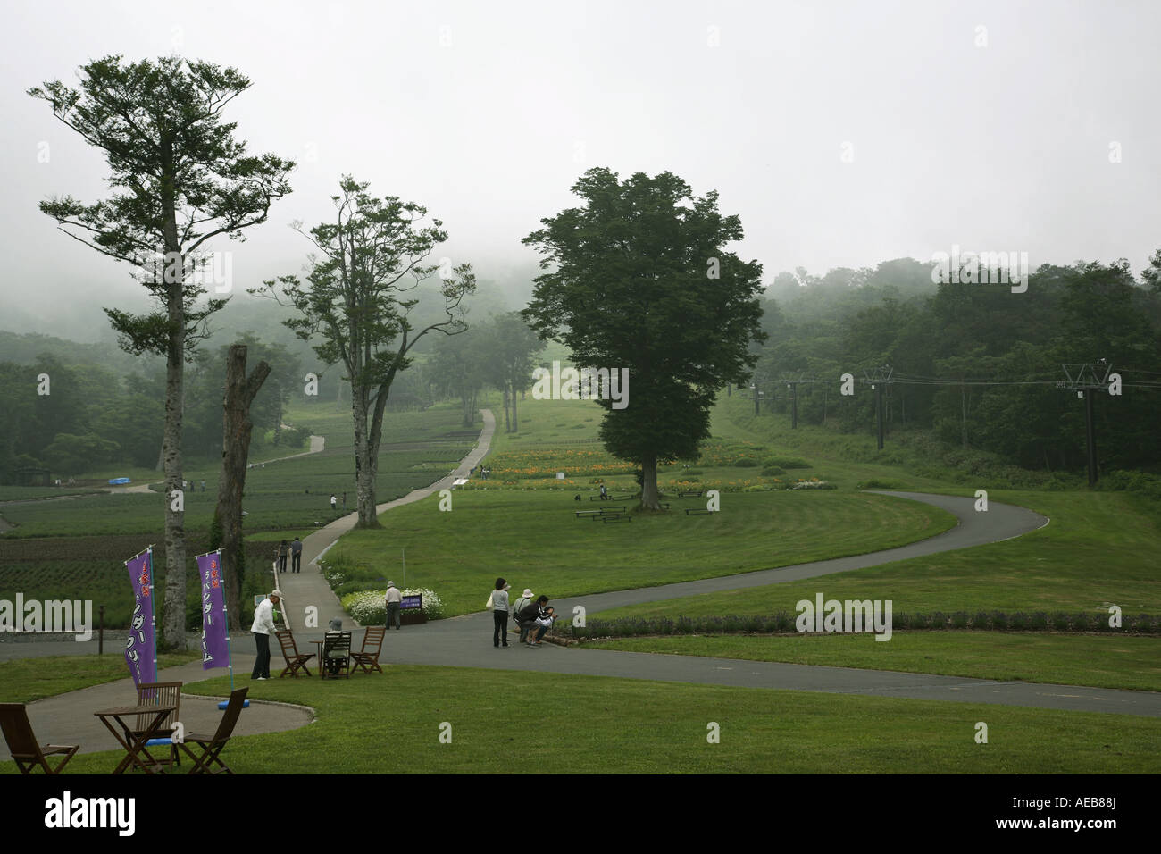 Tanbara lavender park in Gunma Japan Asia Stock Photo - Alamy