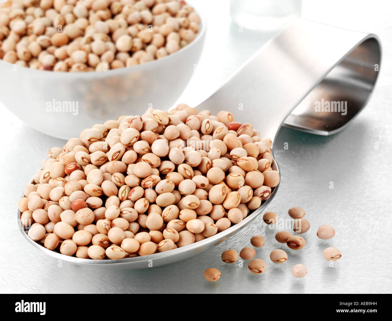 Gungo pea hi-res stock photography and images - Alamy