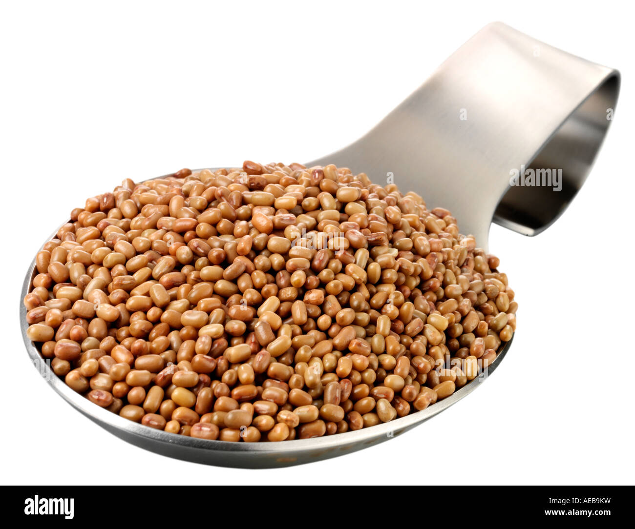 Indian moth Cut Out Stock Images & Pictures - Alamy