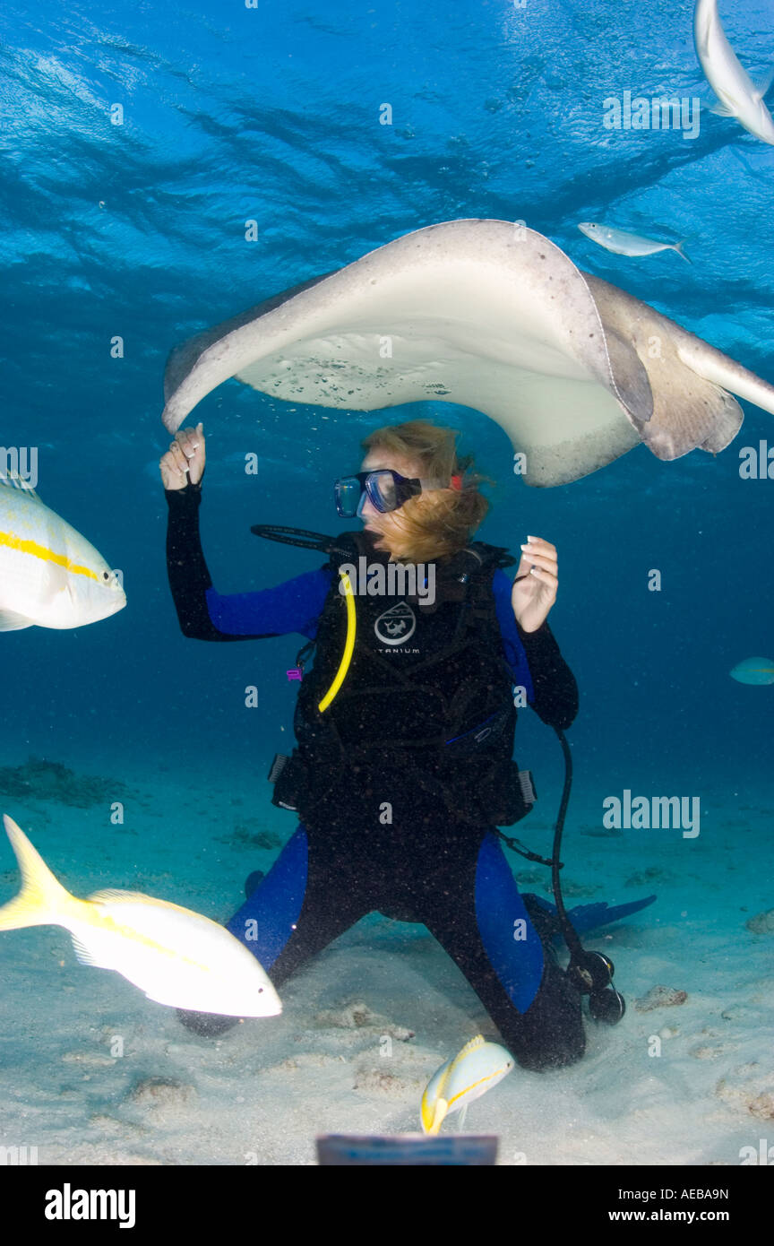 Happy stingray hi-res stock photography and images - Alamy