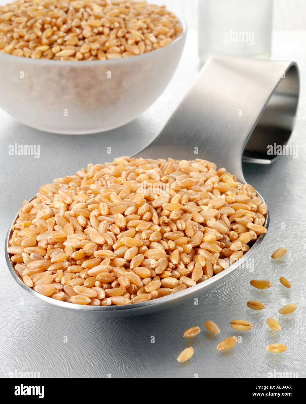 SPOONFUL OF WHEAT GRAIN Stock Photo - Alamy