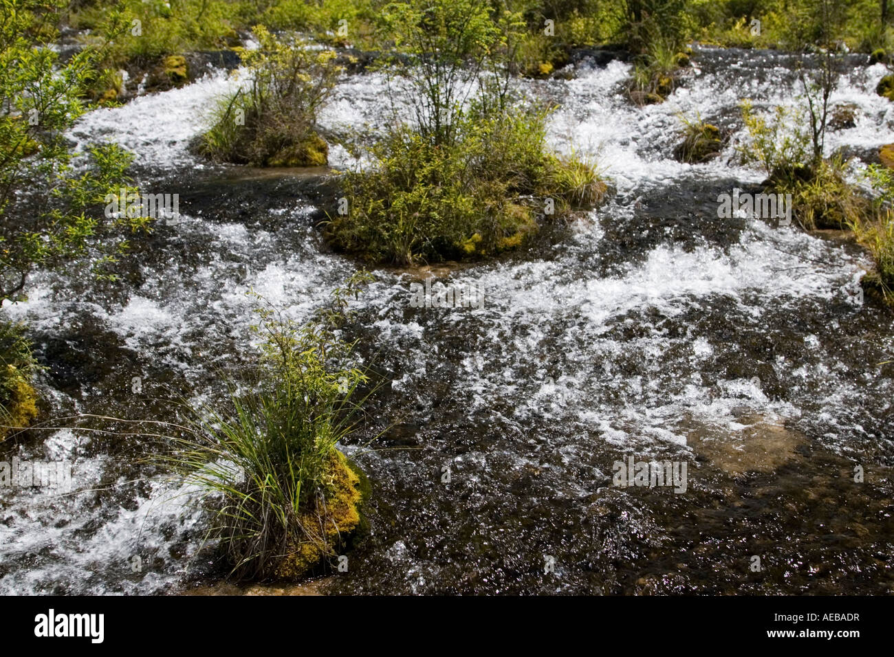 Choppy waters slithering across the ground in Jiuzhaigou Nature Reserve ...