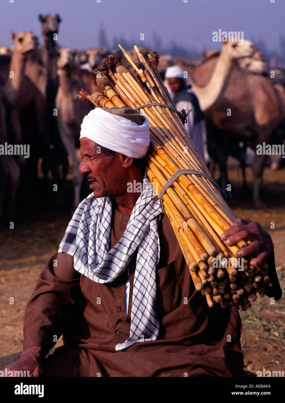 Tribesman carrying bamboo sticks, Camel Market, Near Cairo, Egypt Stock ...
