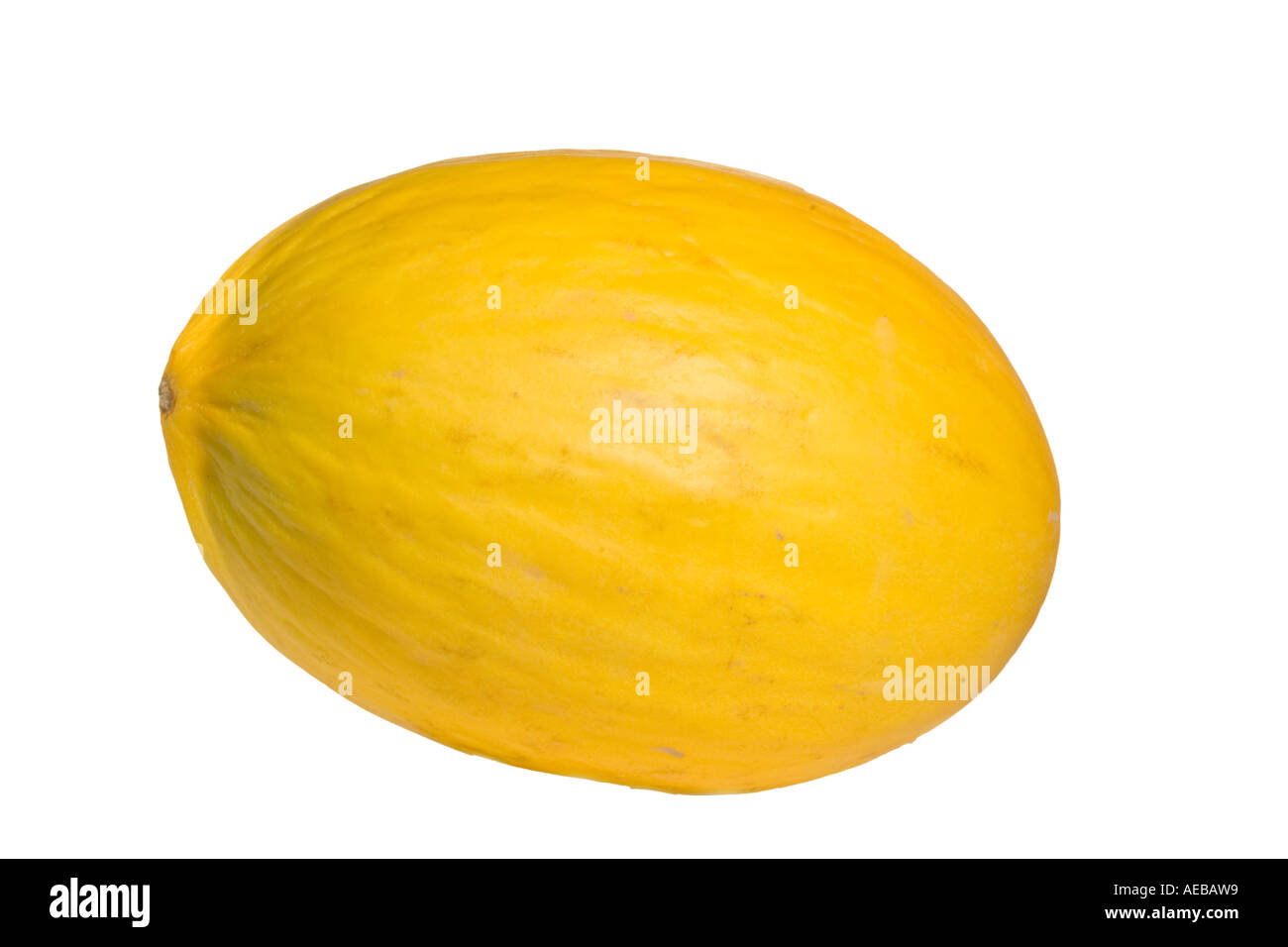 Mellon The Fruit