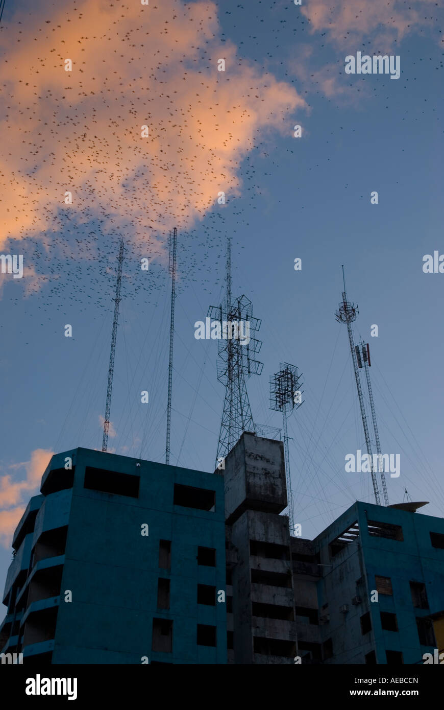 Kpcofgs south american hi-res stock photography and images - Alamy