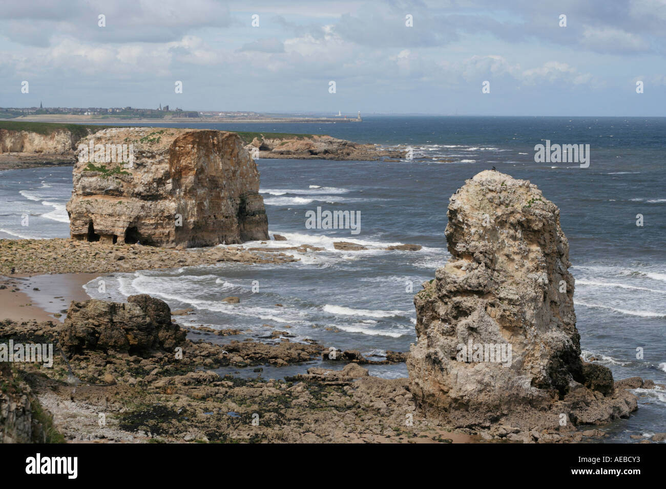 south tyneside leas coastal stacks marsden rock england uk gb Stock ...