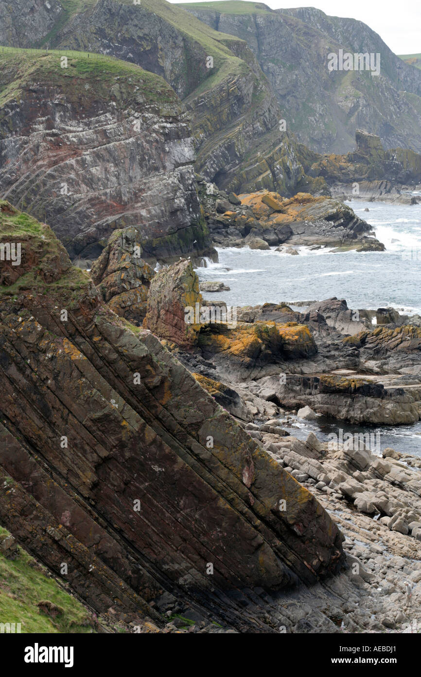 St abbs nature reserve coastal rock folded formations scotland uk gb ...