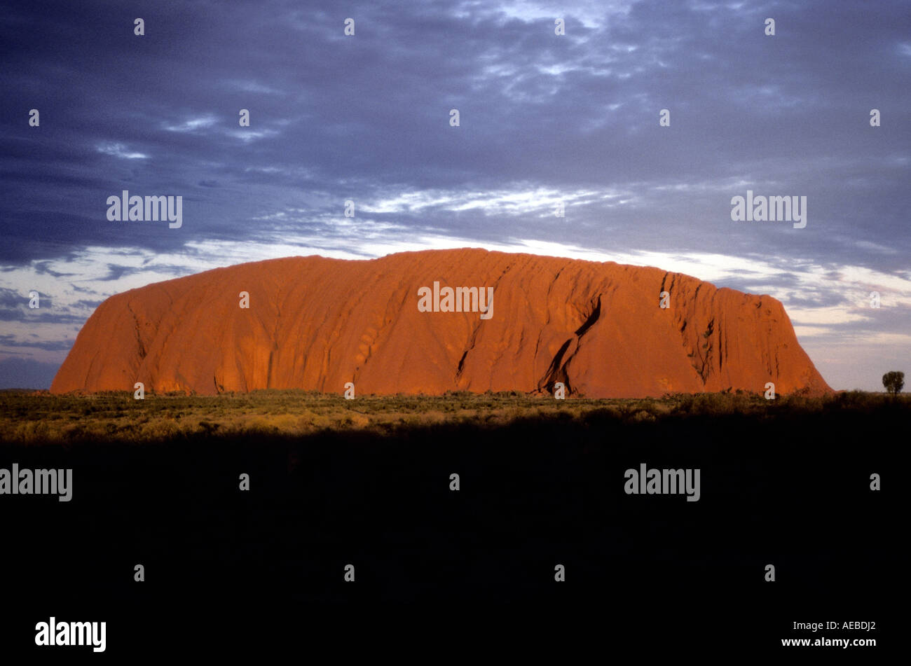 Uluru kata tjuta national park sacred aboriginal site golden pink hi ...