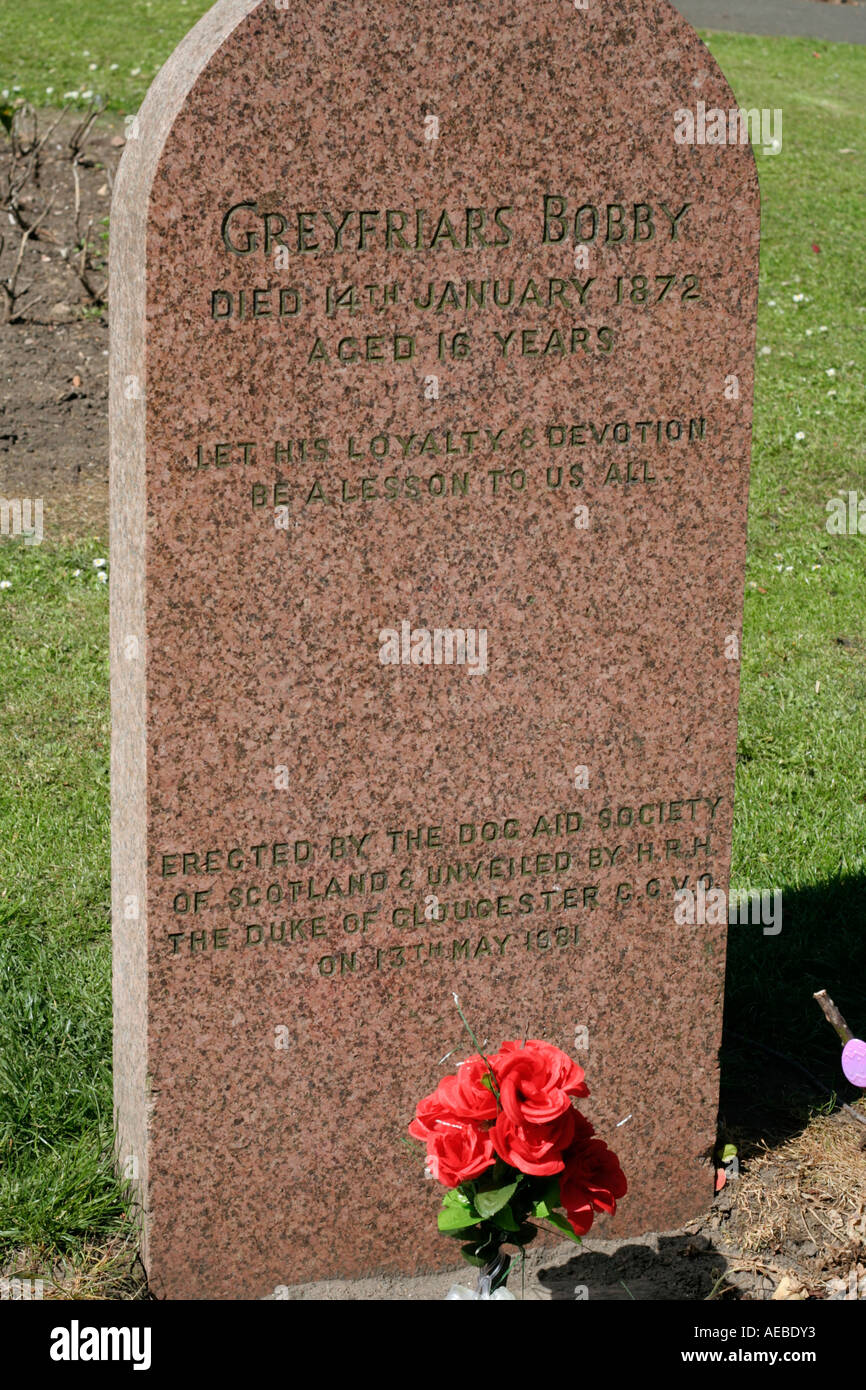 Grave slab hi-res stock photography and images - Alamy