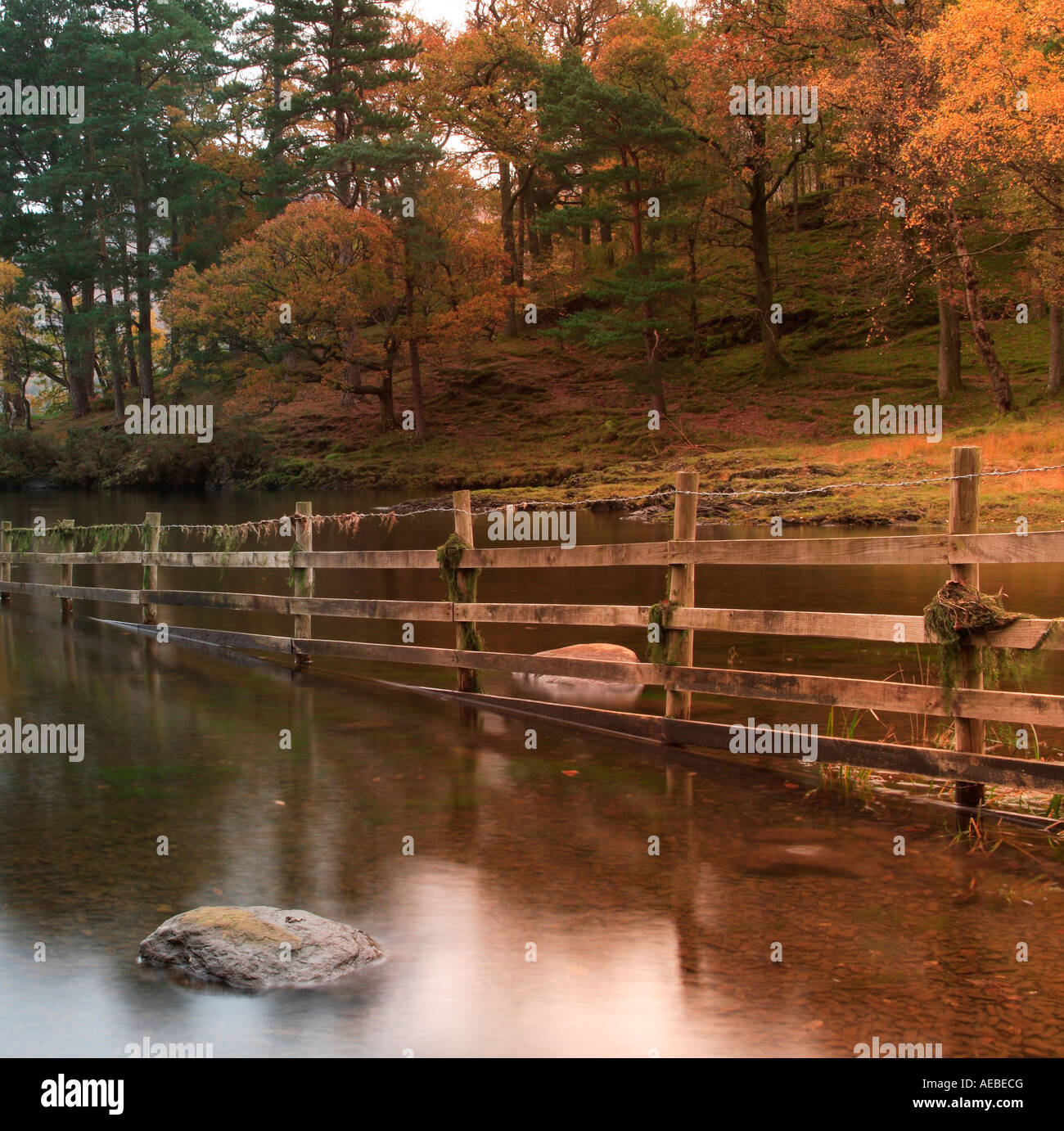 Manesty wood hi-res stock photography and images - Alamy