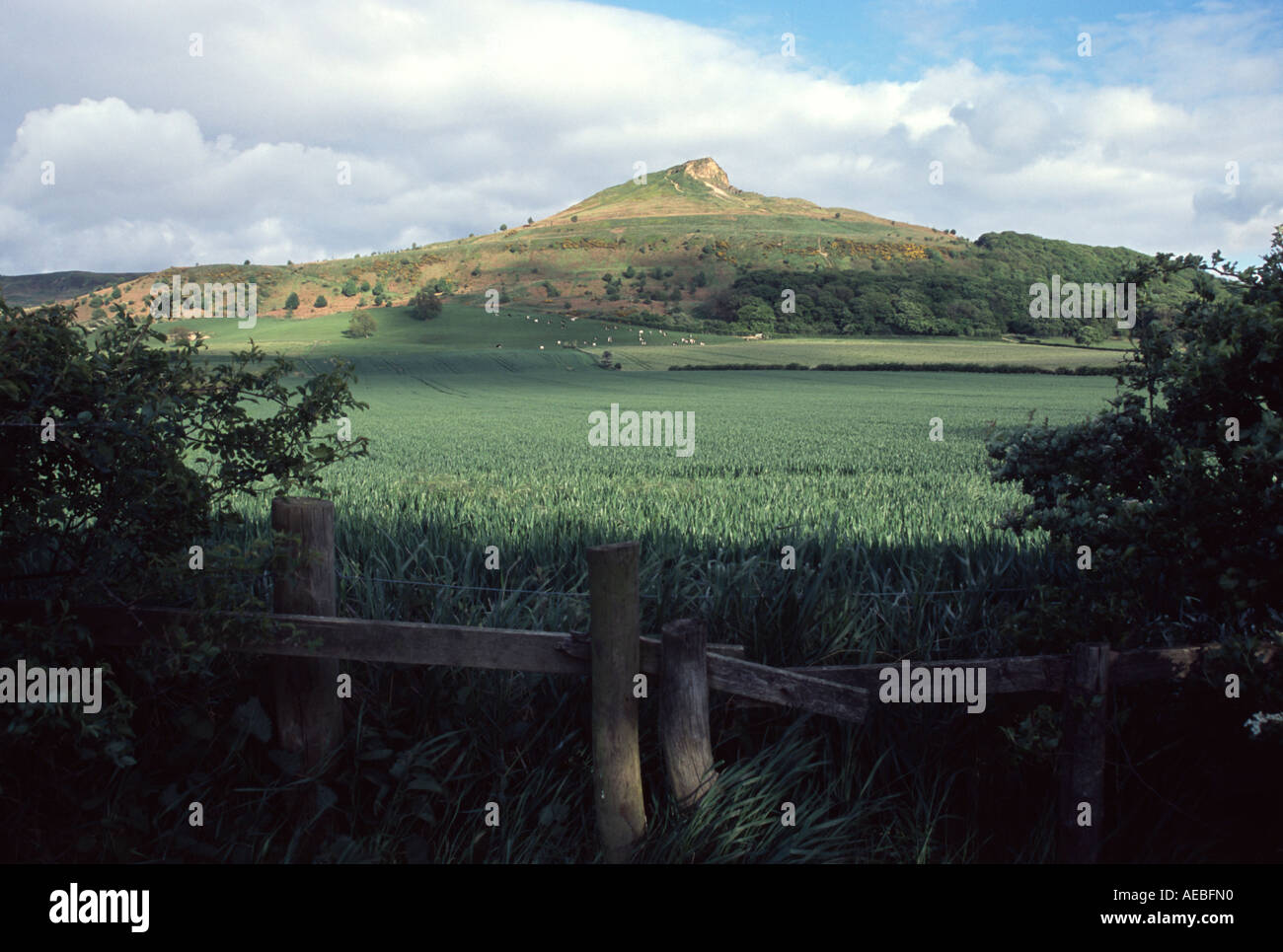 Roseberry Topping North Yorkshire Moors National Park Yorkshire England ...