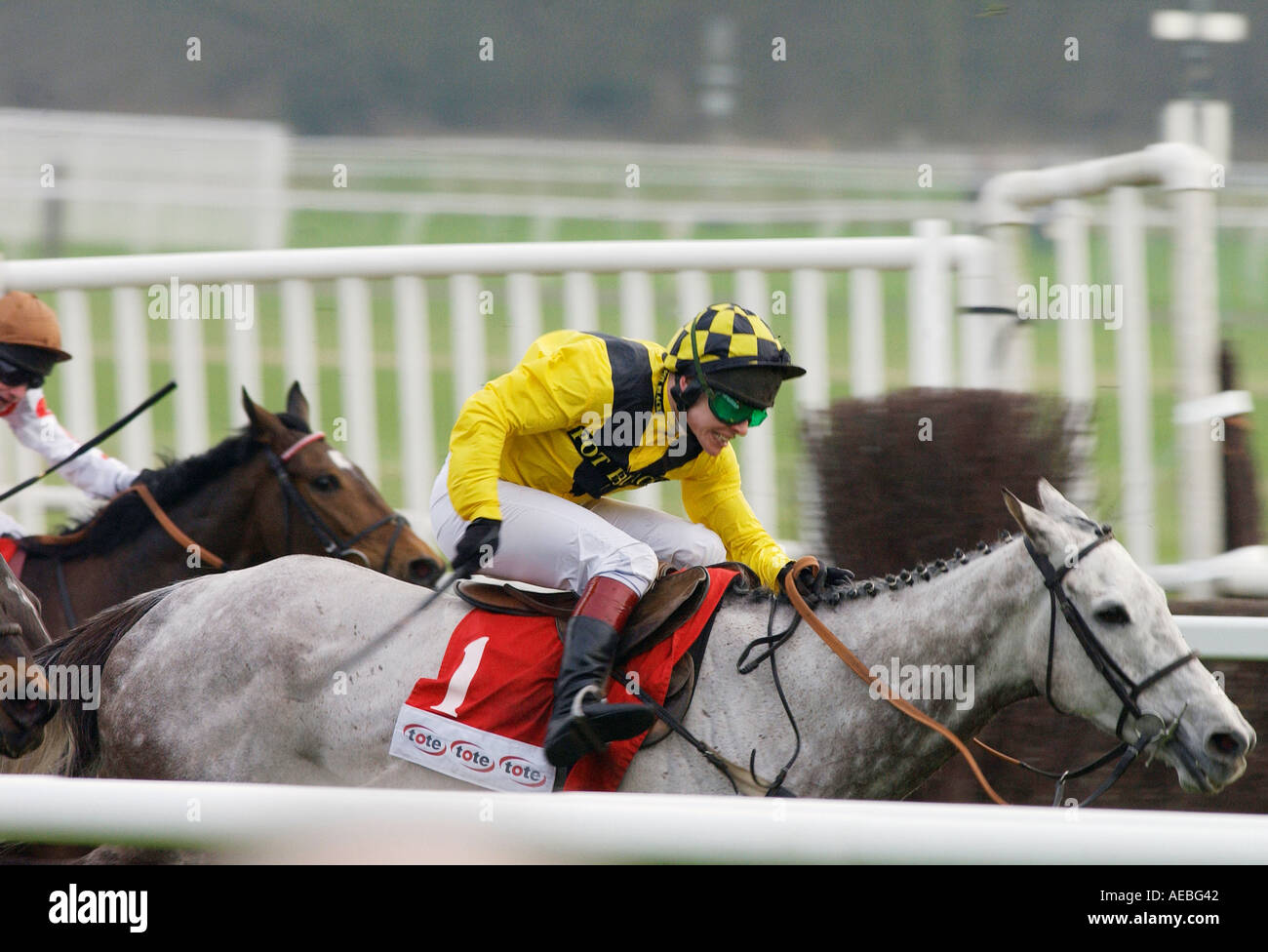 JOCKEY RICHARD JOHNSON RIDING ROOSTER BOOSTER IN THE TOTE GOLD TROPHY ...
