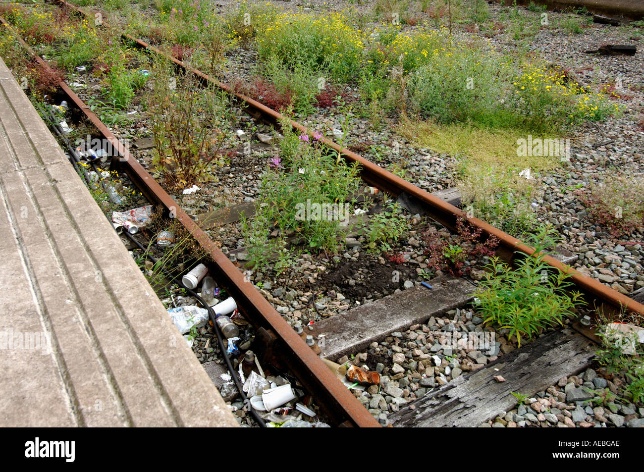 Abandoned railway tracks England UK Stock Photo - Alamy