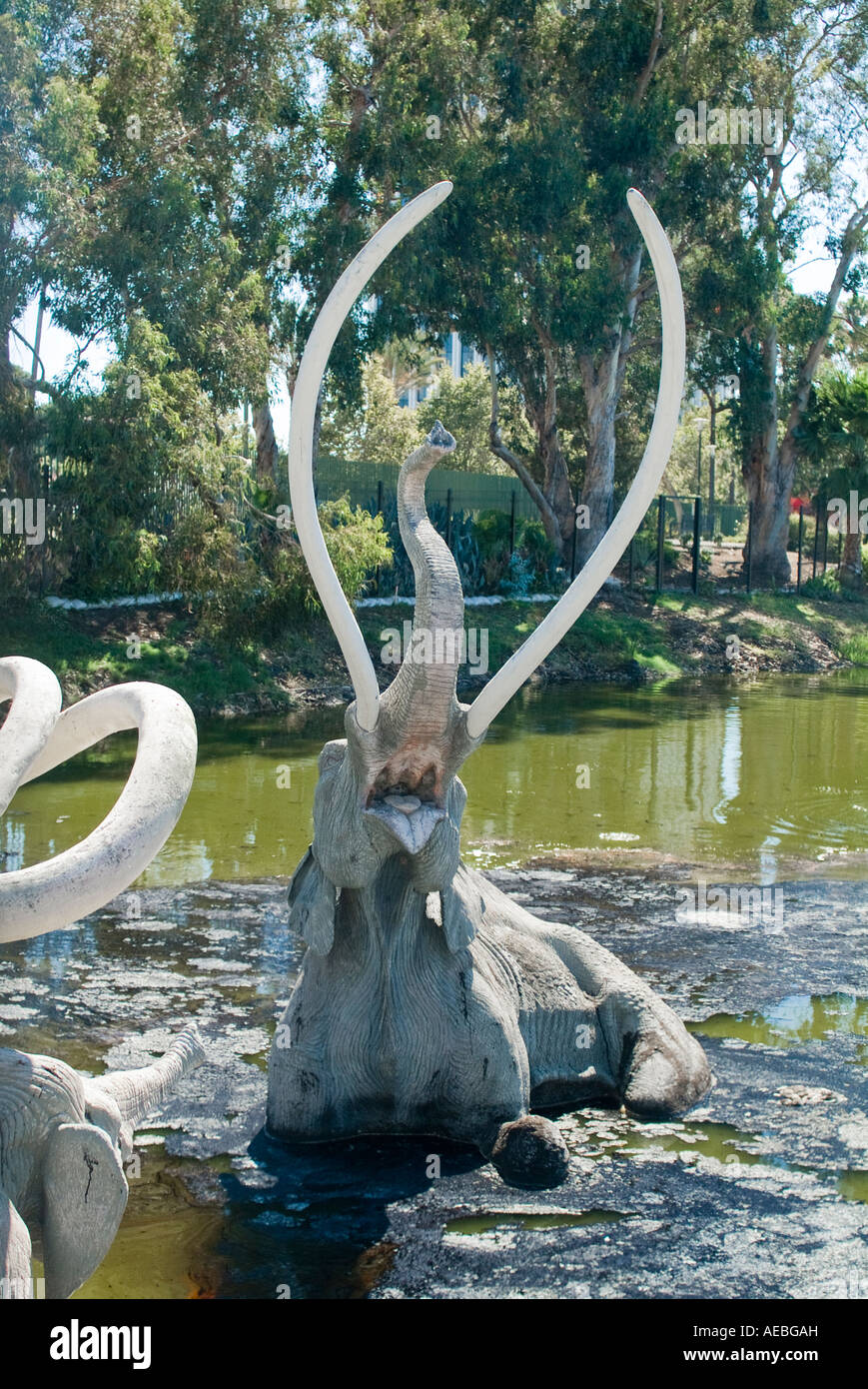 Scene of animal trapped in tar at Rancho La Brea Tar Pits in Los ...