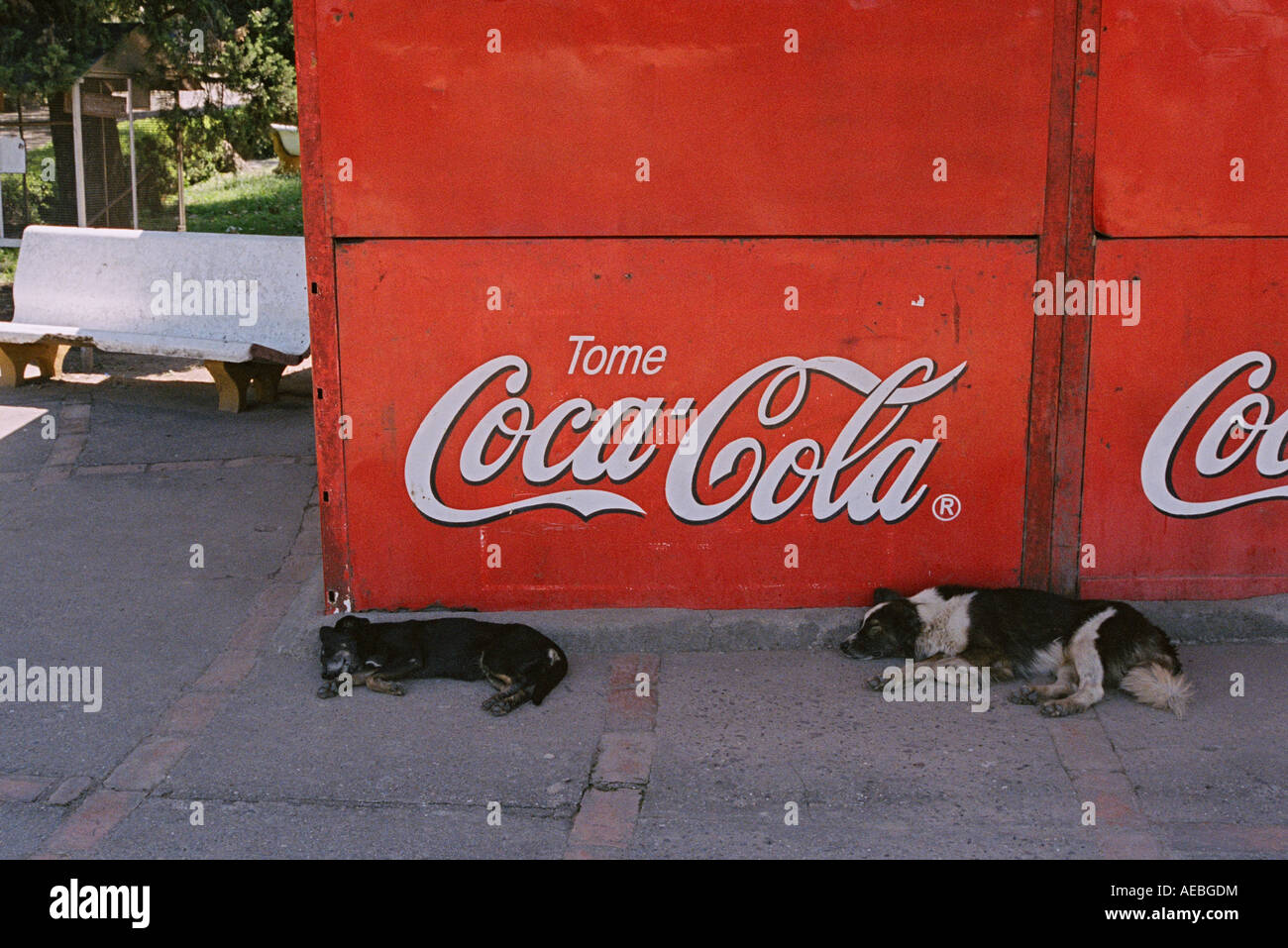 Coca Cola Dogs Stock Photo - Alamy