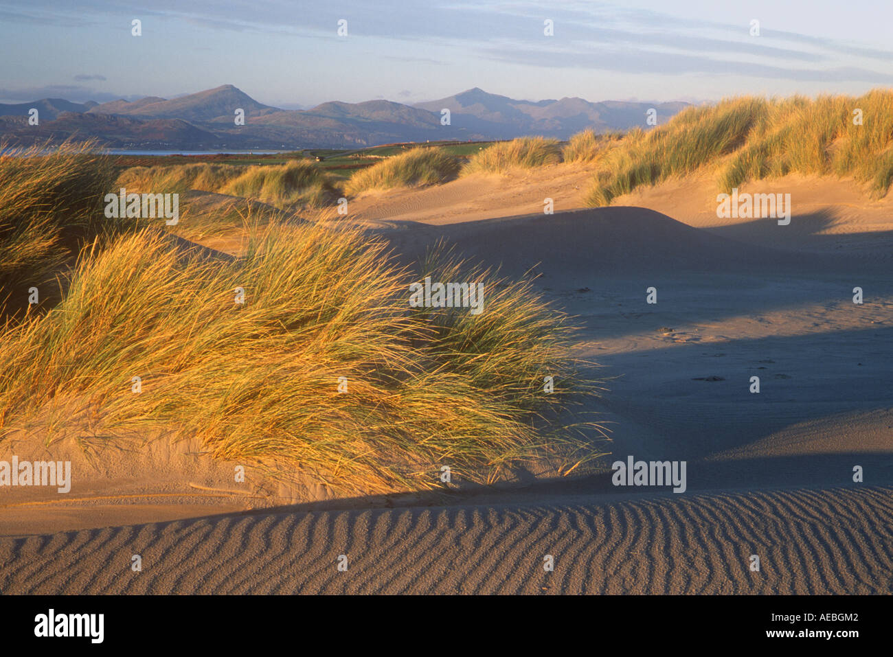 Sand Dunes Shell Island Snowdonia Mountains North West Wales Stock ...