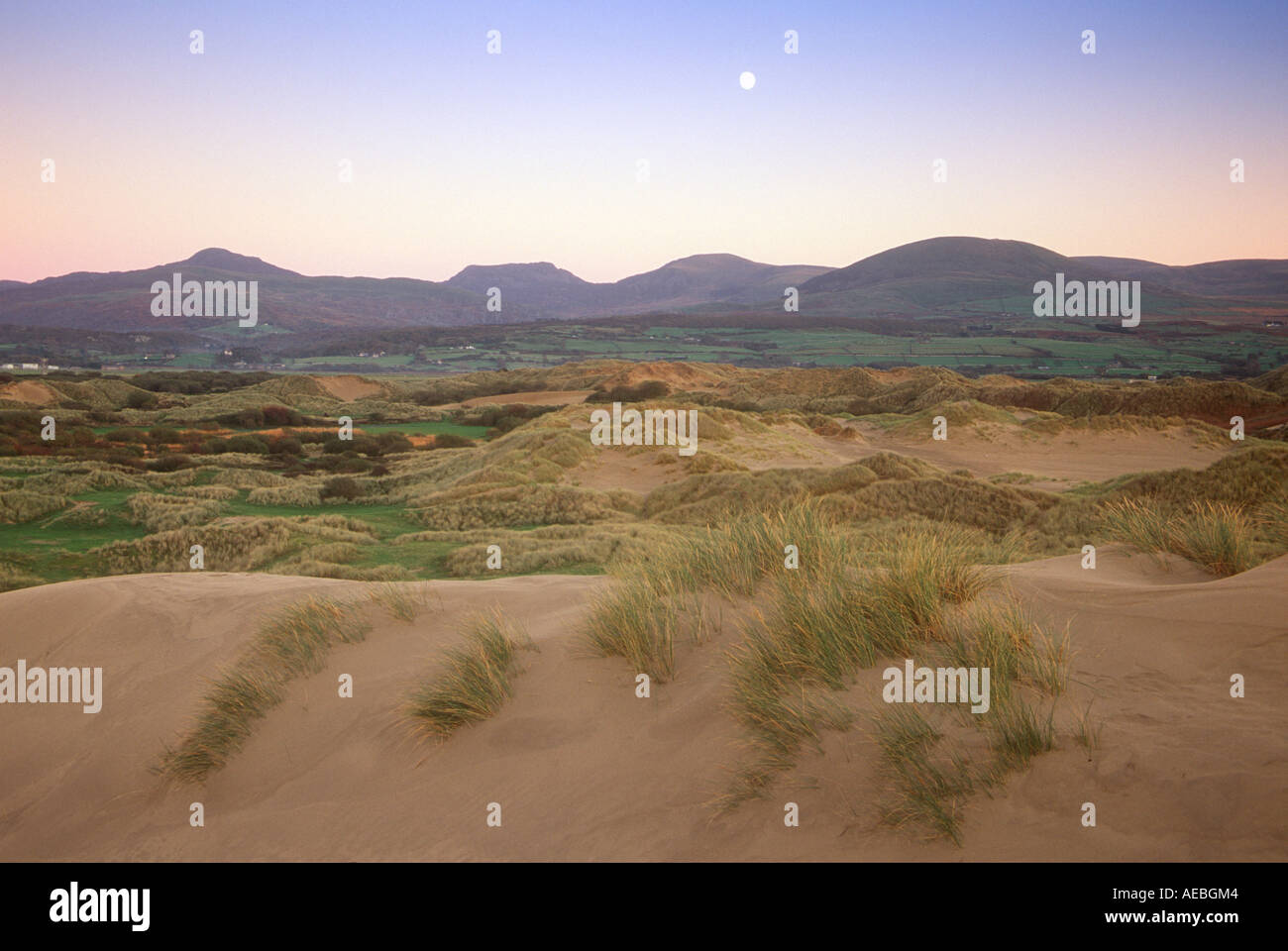 Shell island gwynedd wales hi-res stock photography and images - Alamy