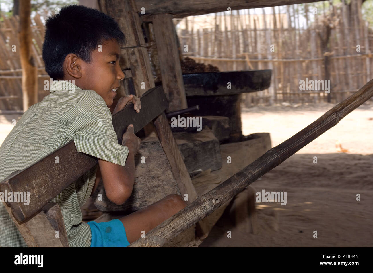 Peanut dust hi-res stock photography and images - Alamy