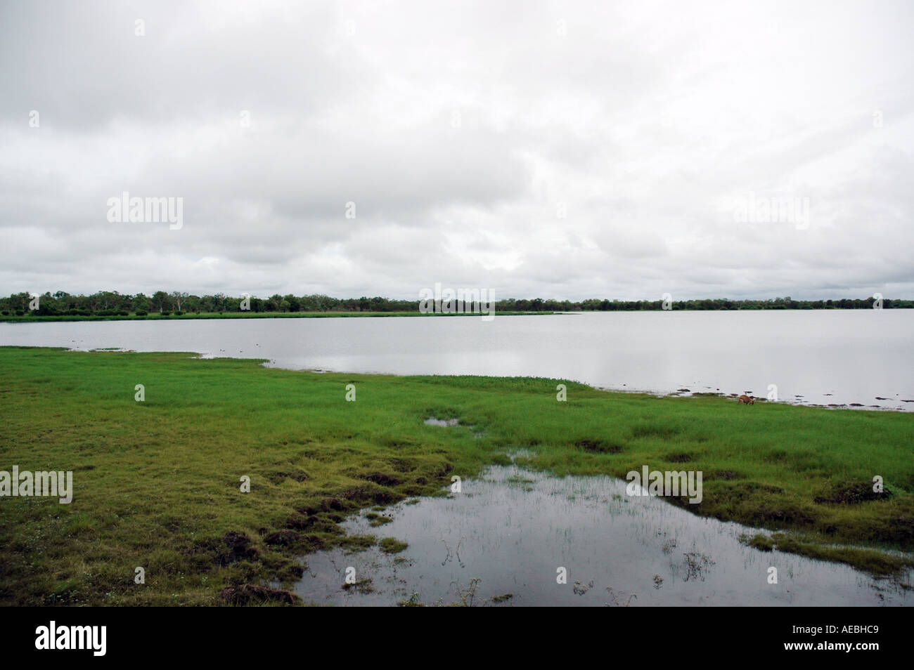 Kakadu National Park Yellow river Stock Photo - Alamy