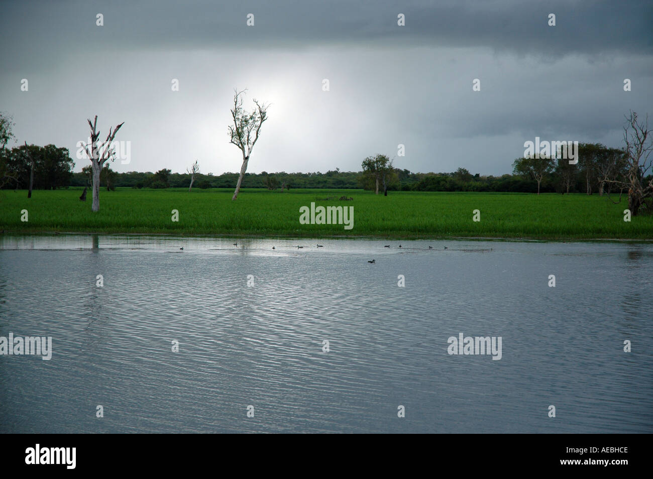 Kakadu National Park Yellow river Stock Photo - Alamy