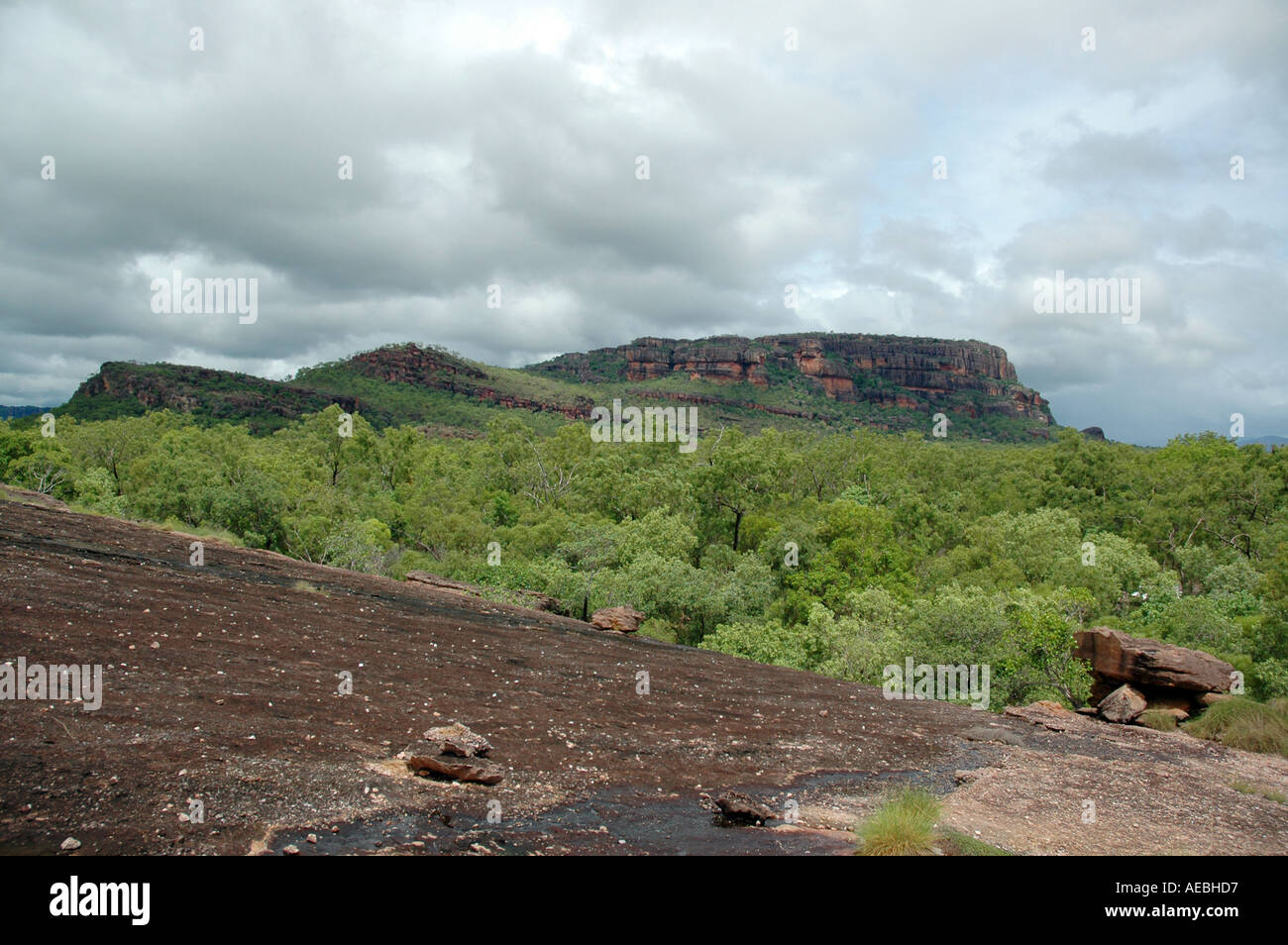 Wet season kakadu hi-res stock photography and images - Alamy