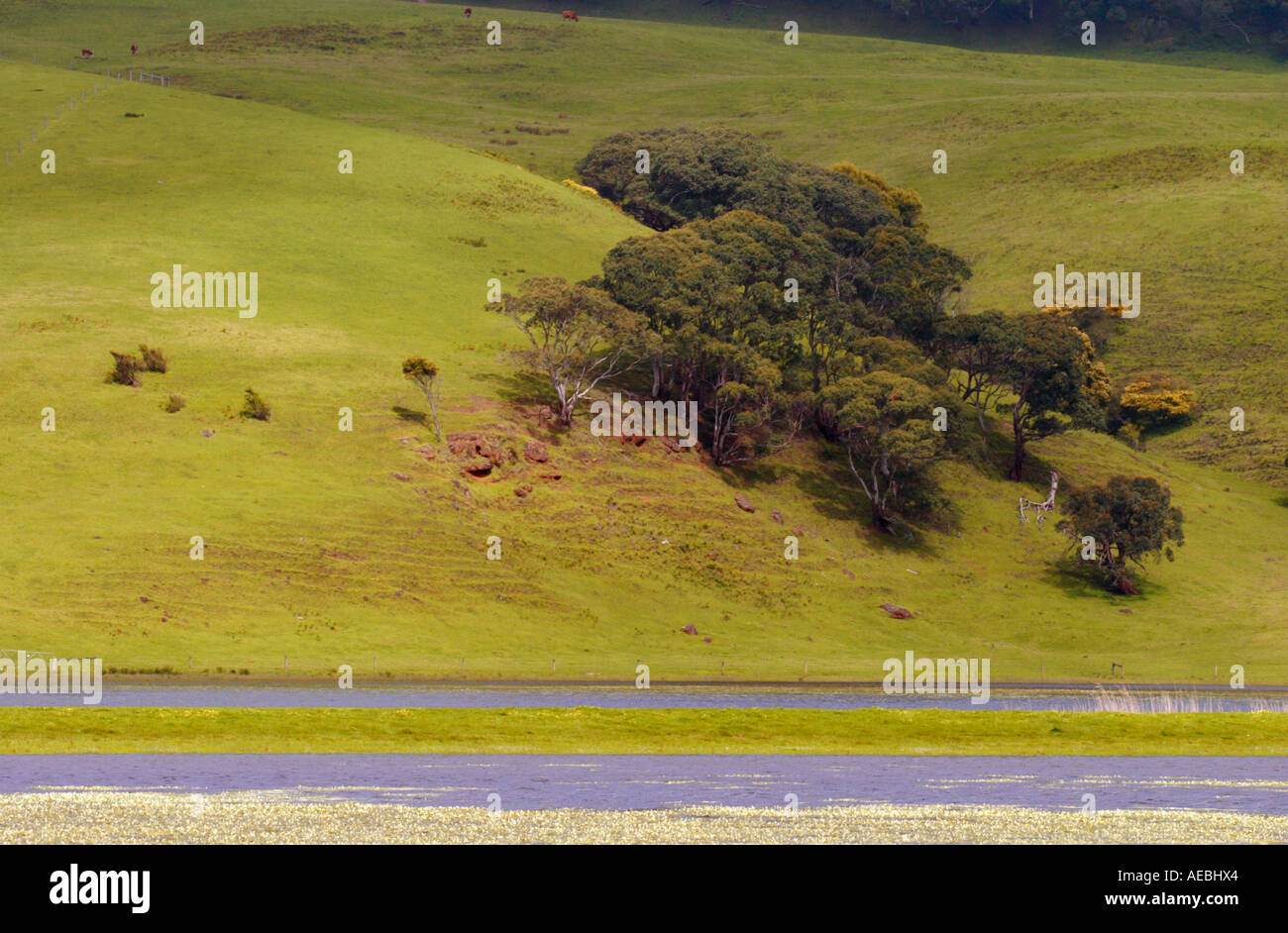 Gellibrand hi-res stock photography and images - Alamy