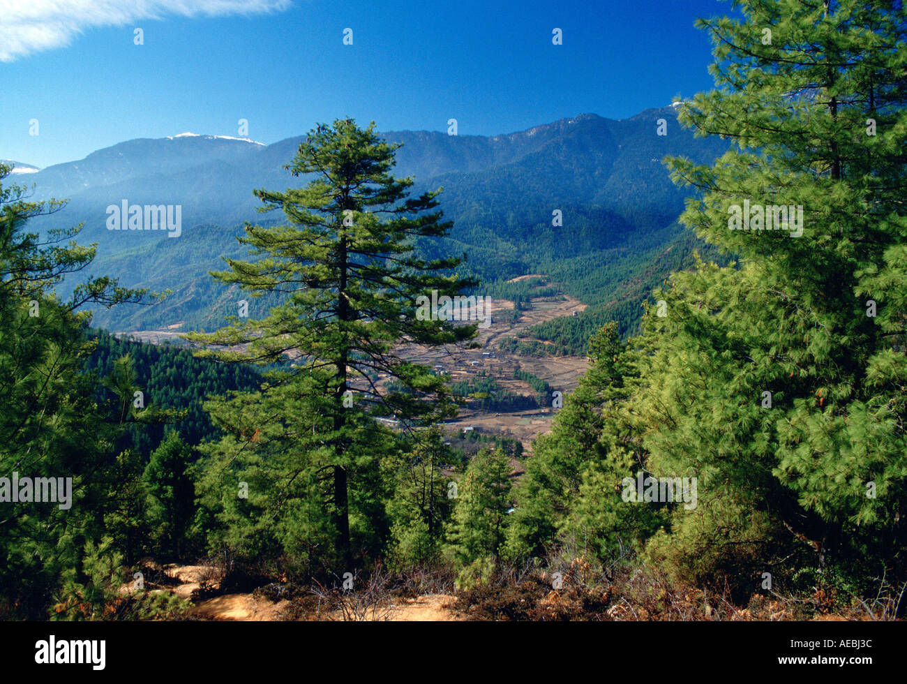 Scenic bhutan landscapes hi-res stock photography and images - Alamy