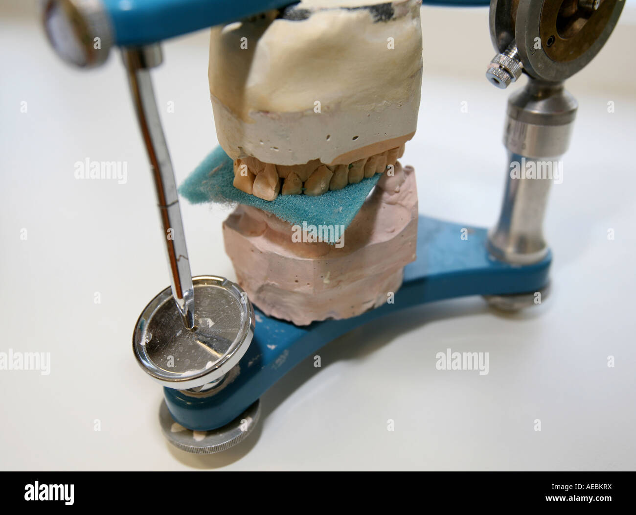 Dentistry amsterdam hi-res stock photography and images - Alamy