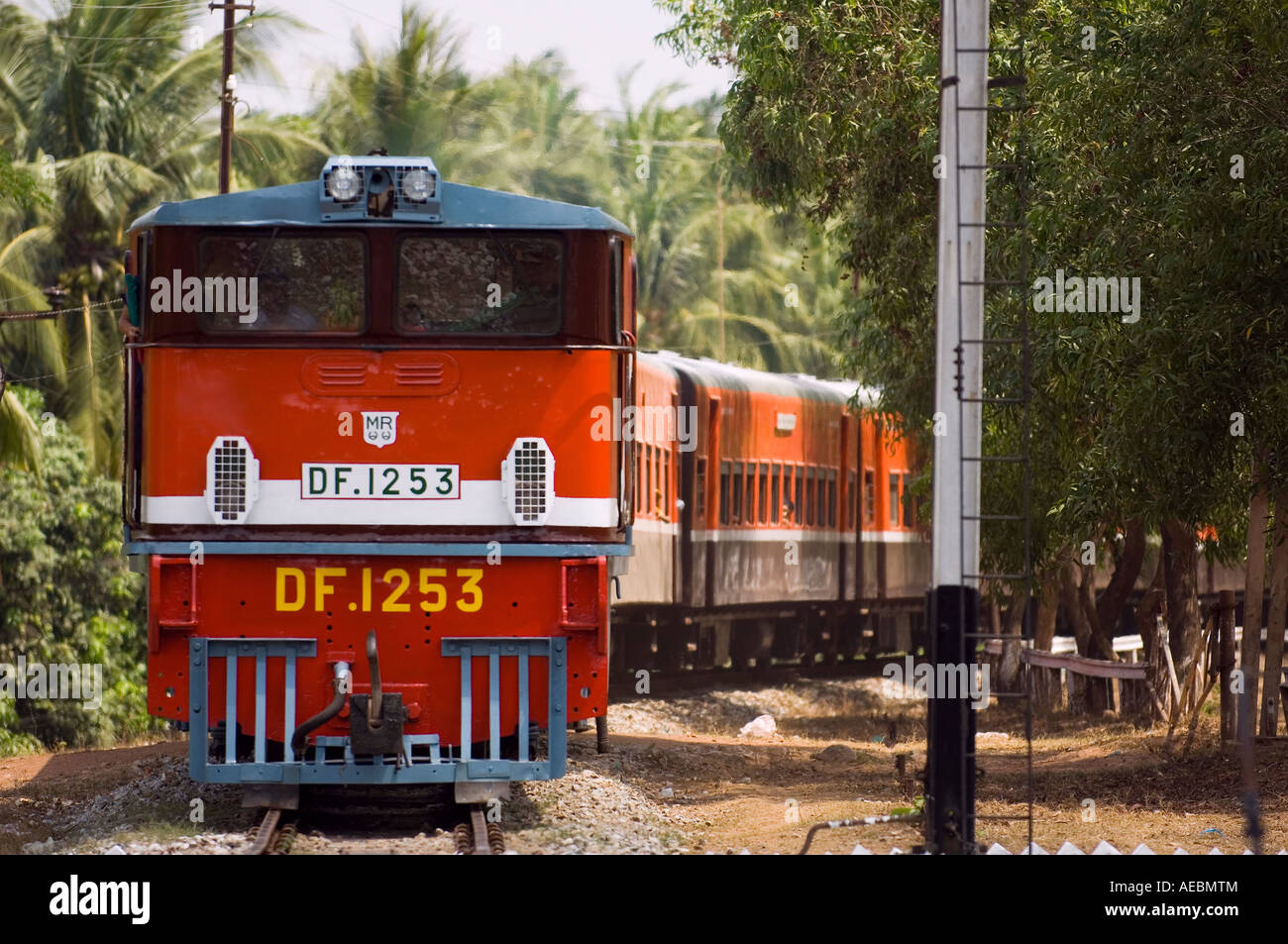 Red pole cow hi-res stock photography and images - Alamy