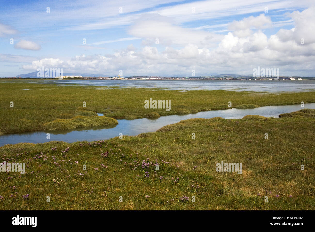 High sea levels hi-res stock photography and images - Alamy