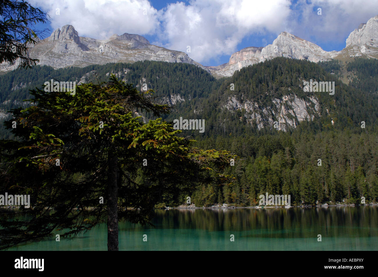 Lago di tovel hi-res stock photography and images - Alamy