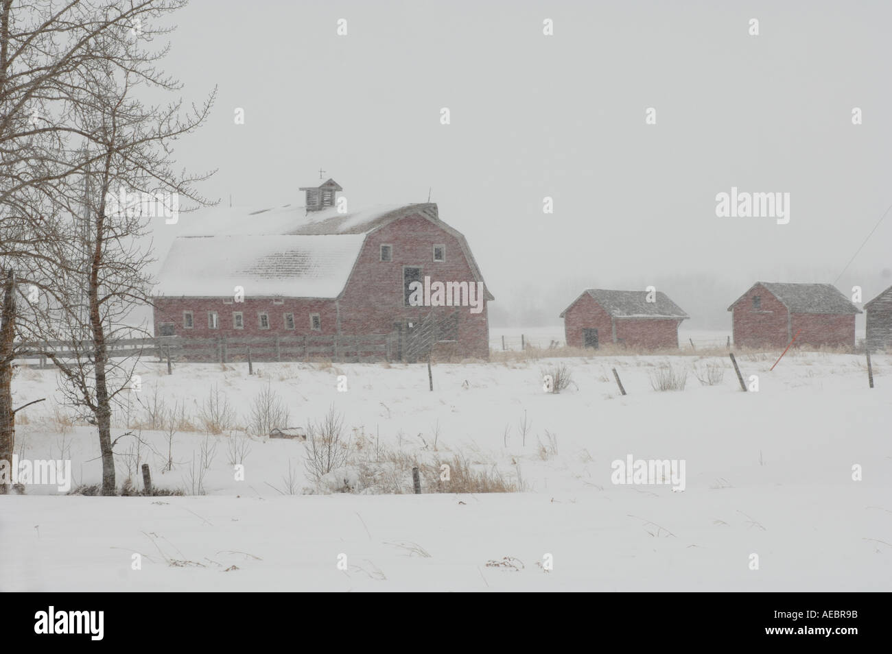 Alberta farmyard hi-res stock photography and images - Alamy