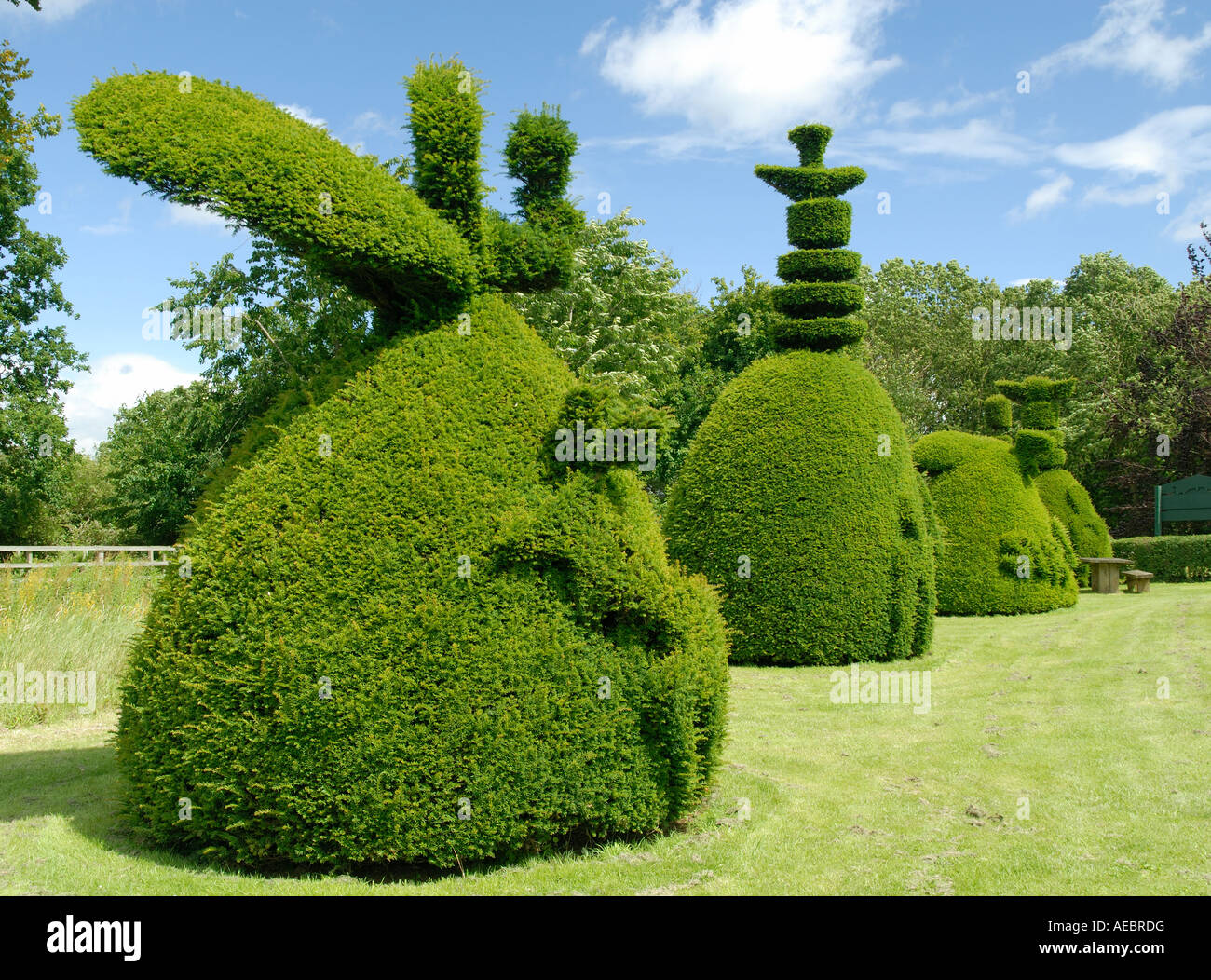 Clipsham yew tree avenue hi-res stock photography and images - Alamy