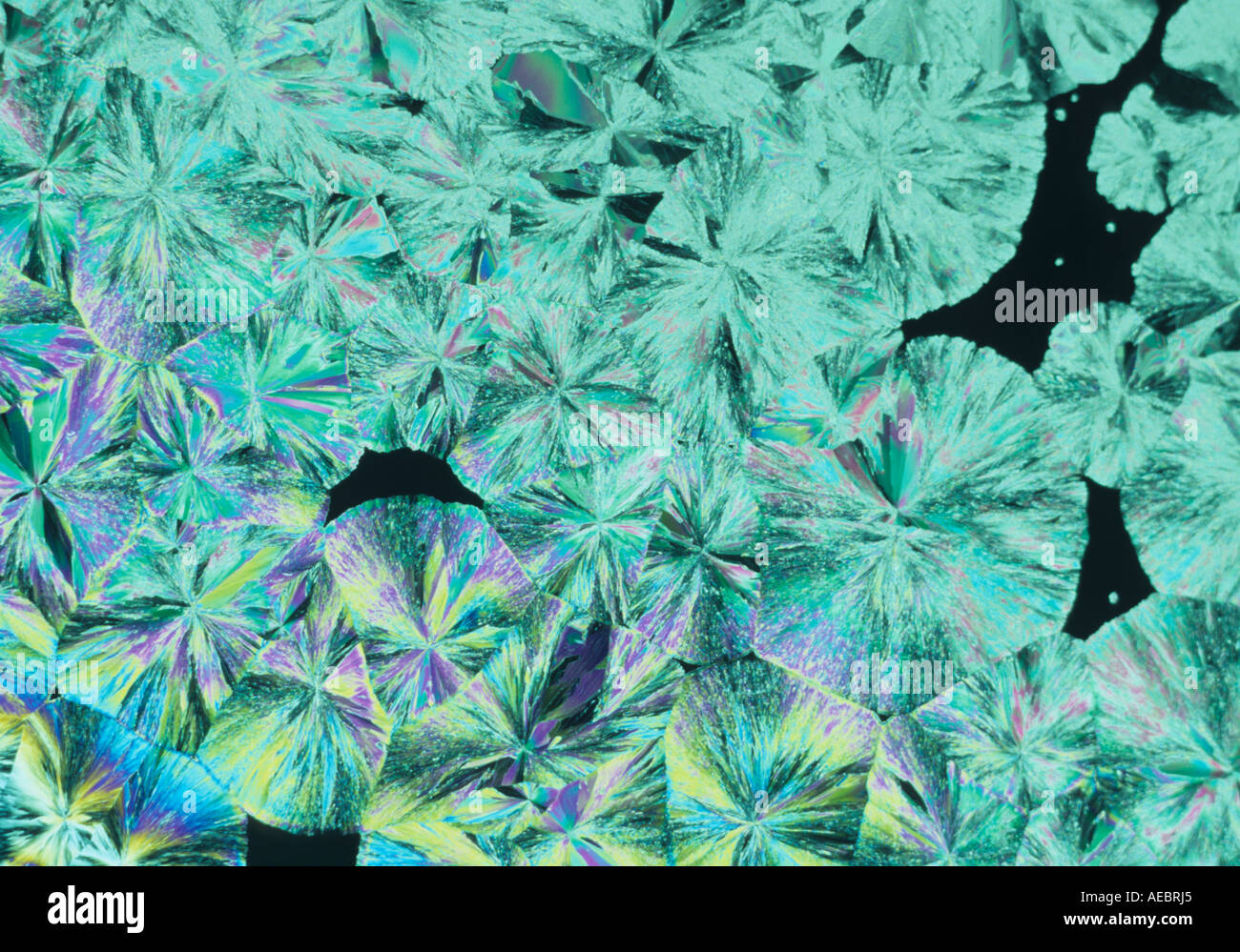 An extreme close-up of Cross Polarized Citric Acid Crystals Stock Photo ...