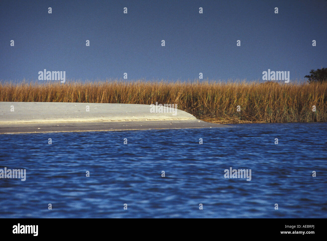 Winyah hi-res stock photography and images - Alamy