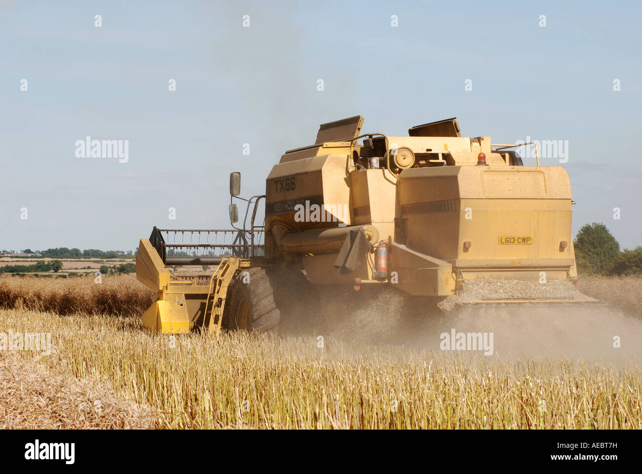 New Holland combine harvester in oil seed rape crop, Leicestershire ...