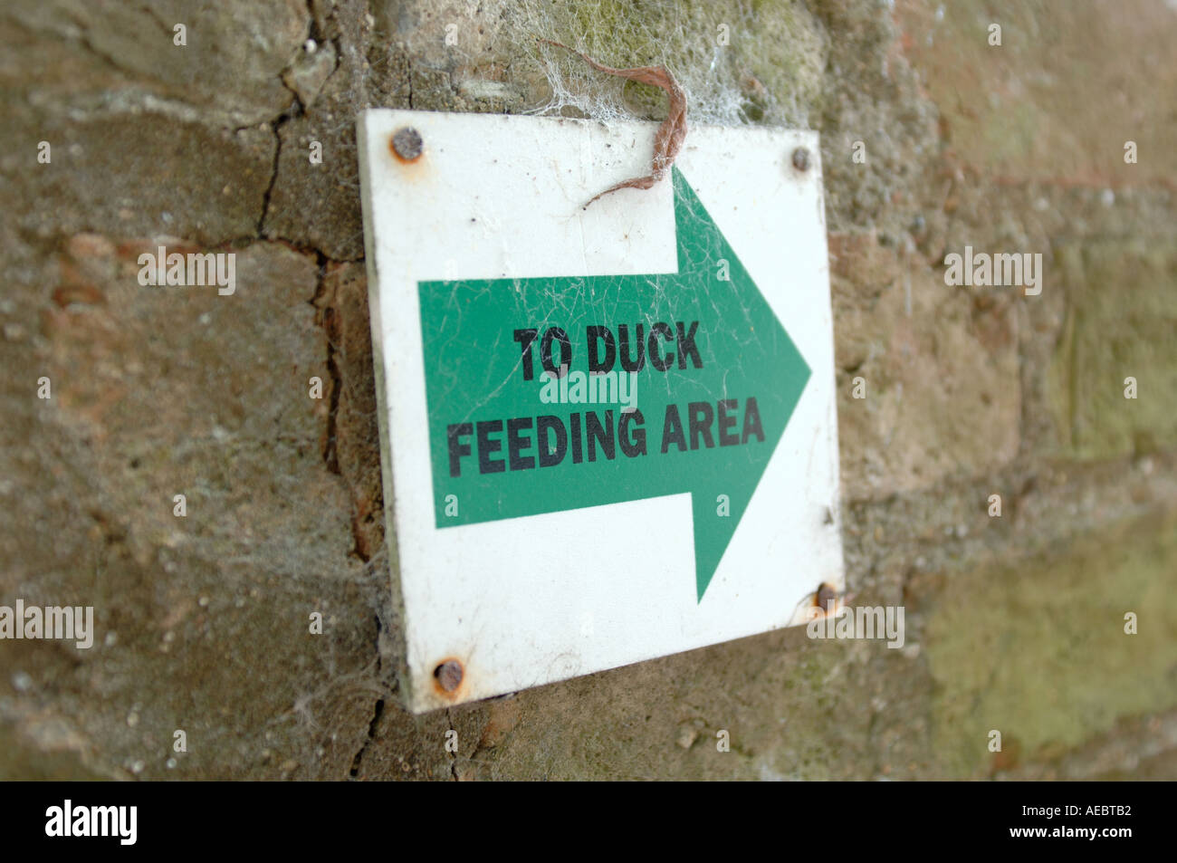 a sign directing people to feed the ducks Stock Photo - Alamy